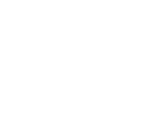 Time Projection Chamber – XENONnT experiment
